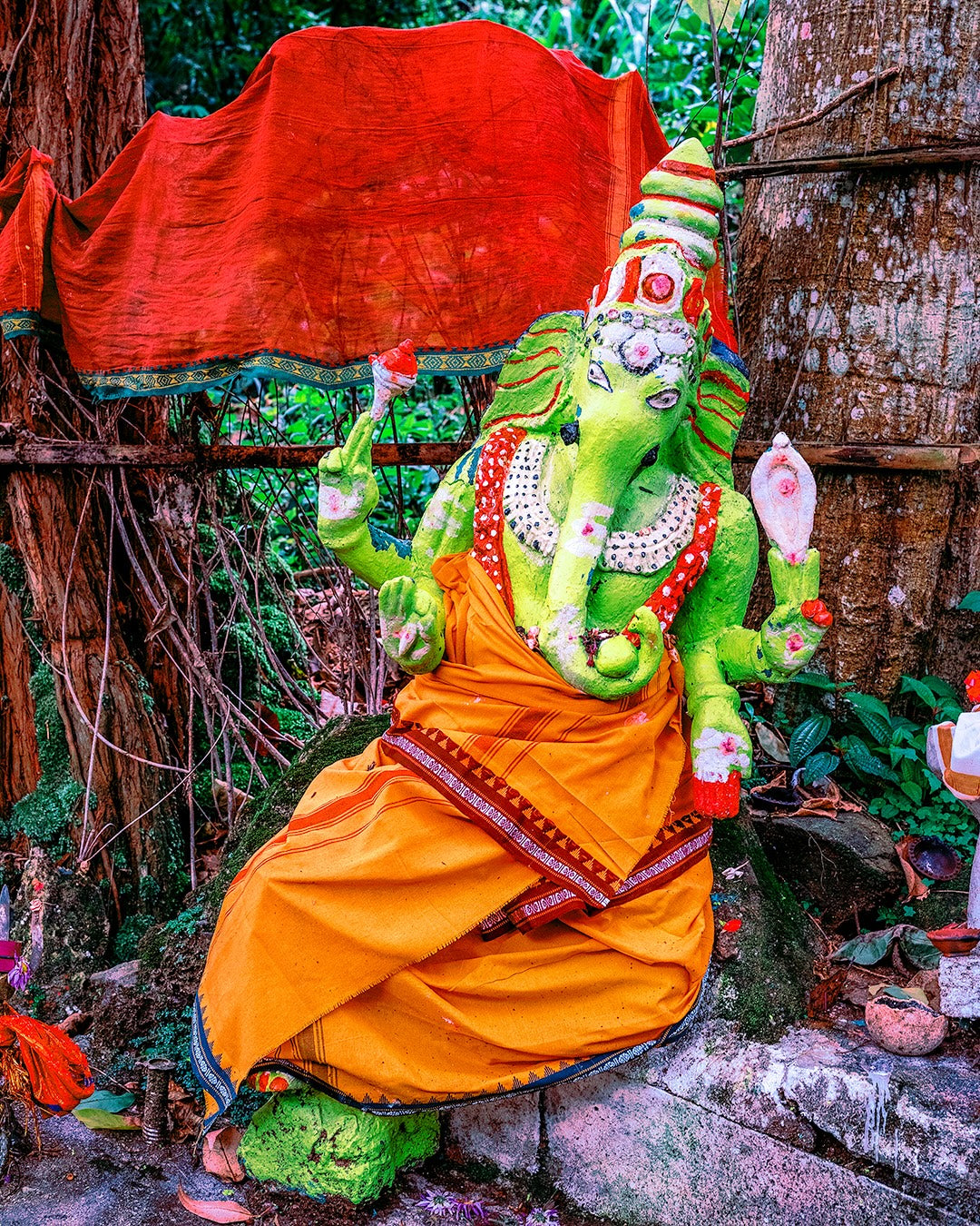 Green Ganesh: Tavish Gunasena – Prints for Lanka